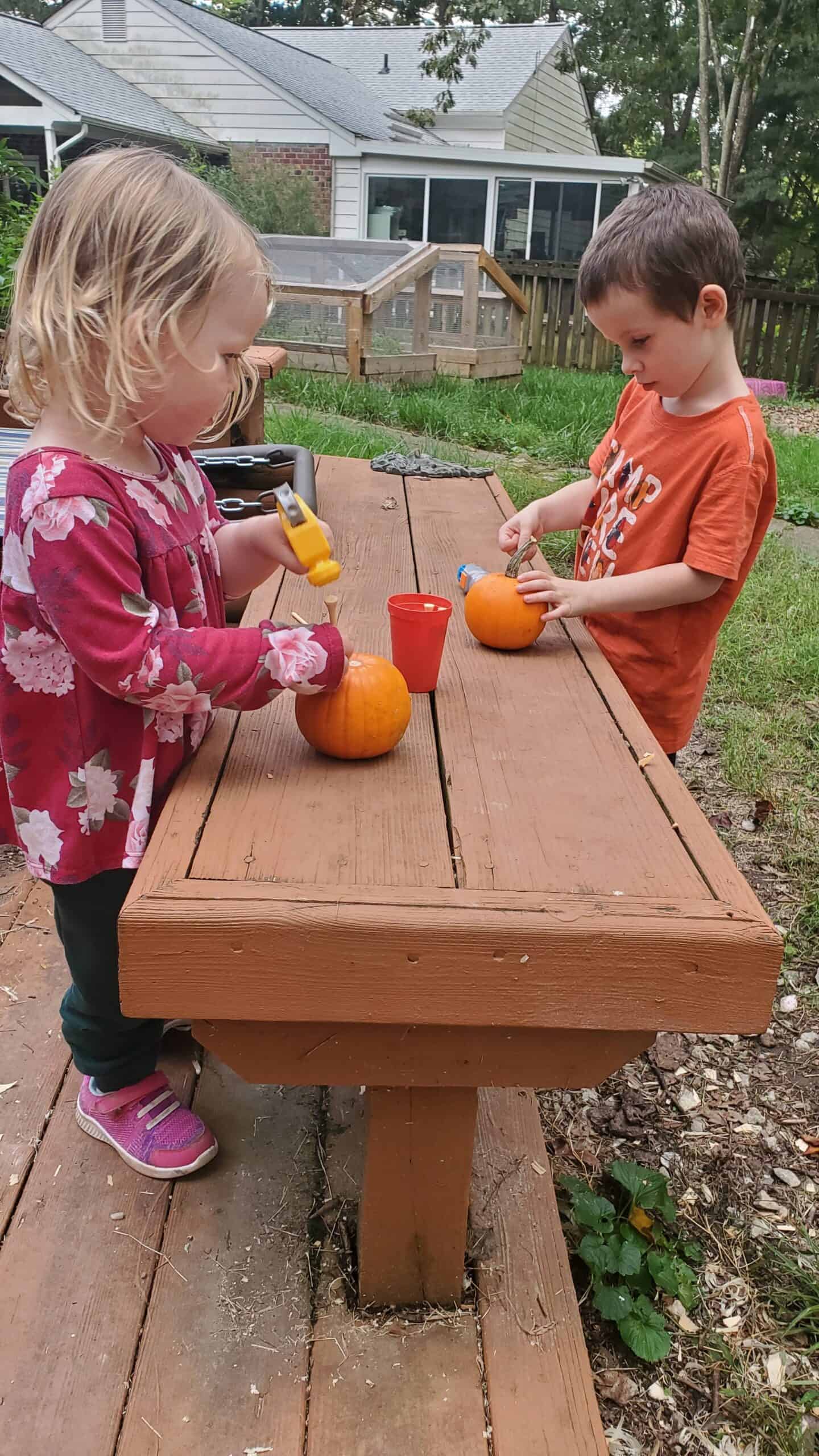 Our Nature-Based Preschool Homeschool Schedule - To Make a Family
